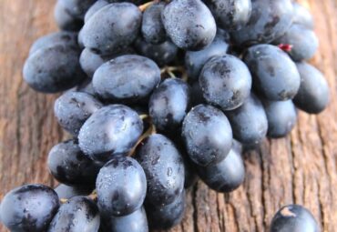 How to grow grapevines - Suttons Gardening Grow How