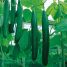 Welcome Back Seeds - Suttons Gardening Grow How