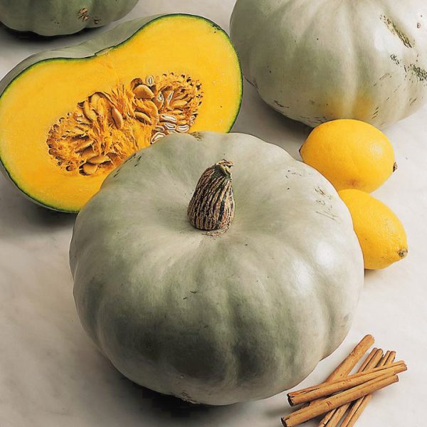 Welcome Back Seeds - Suttons Gardening Grow How