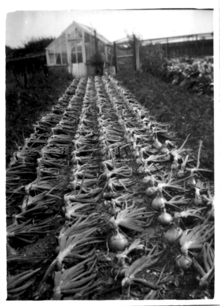 'Fighting on the Homefront' - The 75th Anniversary of Digging for ...