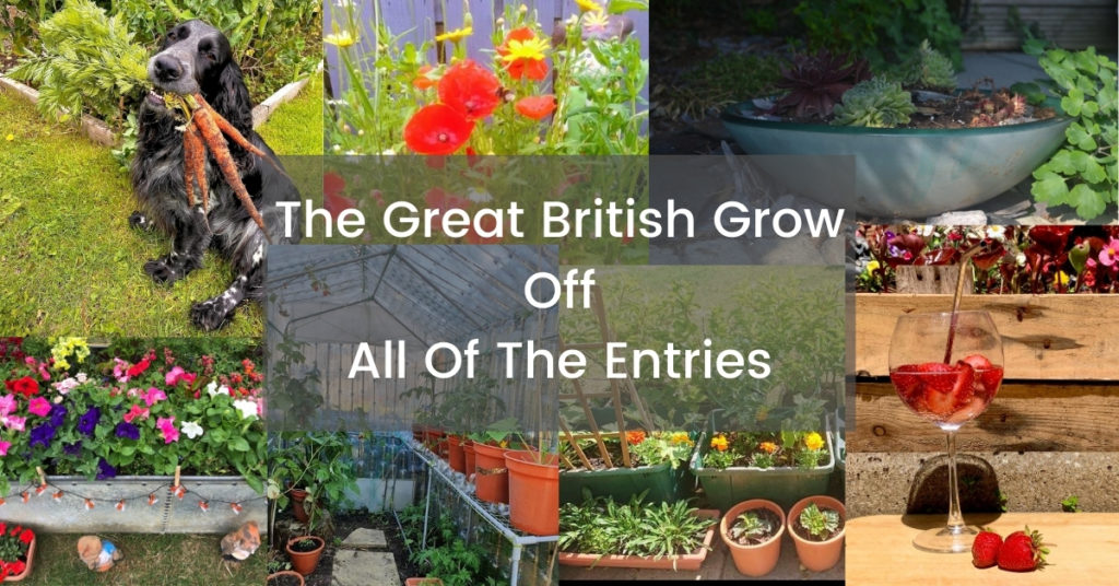 The Great British Grow Off - Entries and Winners! - Suttons Gardening ...