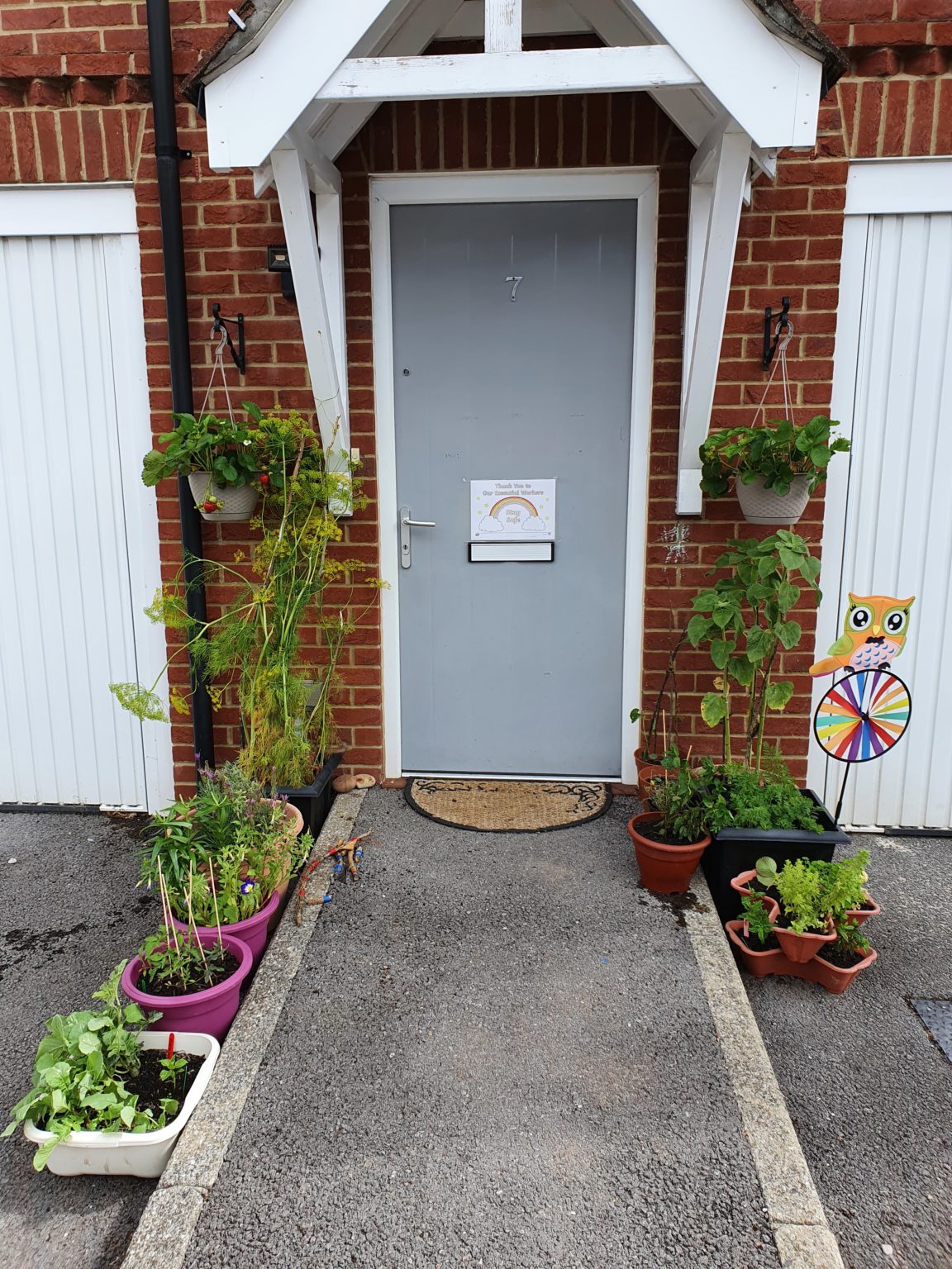 The Great British Grow Off - Entries and Winners! - Suttons Gardening ...