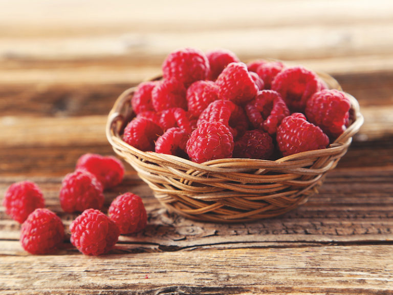 How to grow autumn-fruiting (primocane) raspberries - Suttons Gardening ...