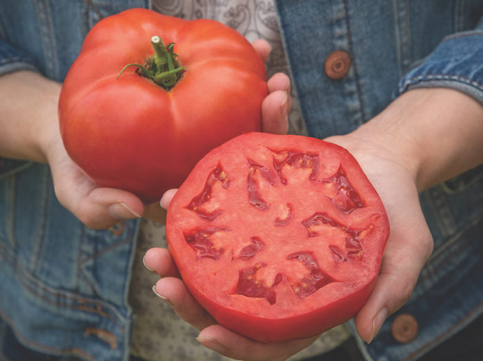 Best expert advice on how to grow tomatoes - Suttons Gardening Grow How