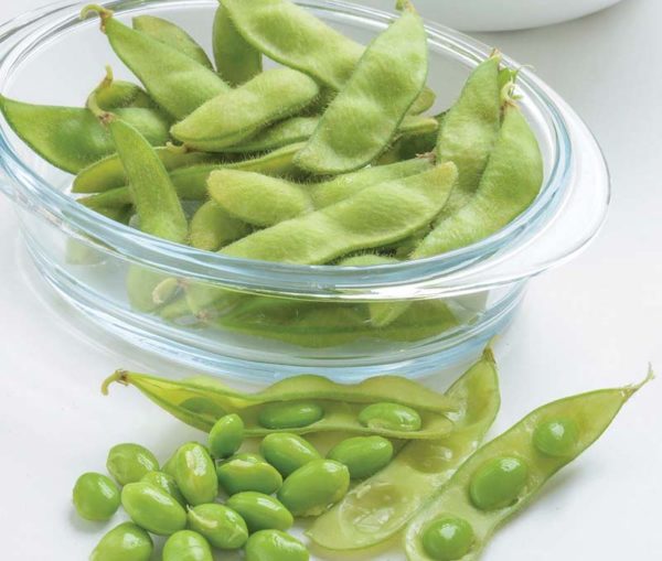 How to grow Edamame beans - Suttons Gardening Grow How
