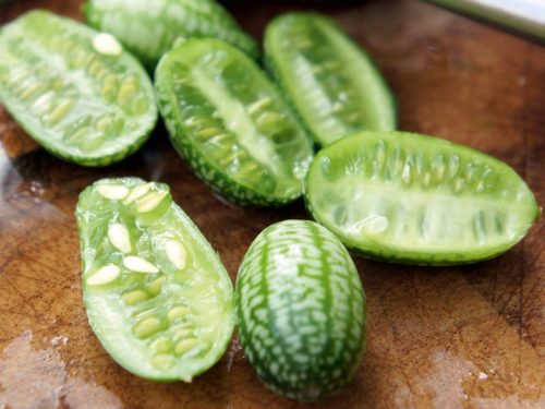 How to grow cucamelons - Suttons Gardening Grow How