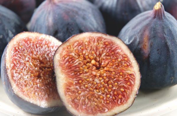 How to grow fig trees - Suttons Gardening Grow How