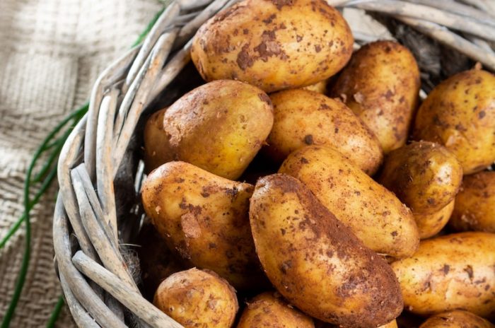 Your guide to potato season