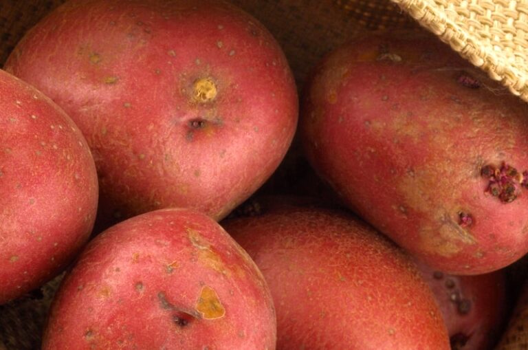 Your guide to potato season