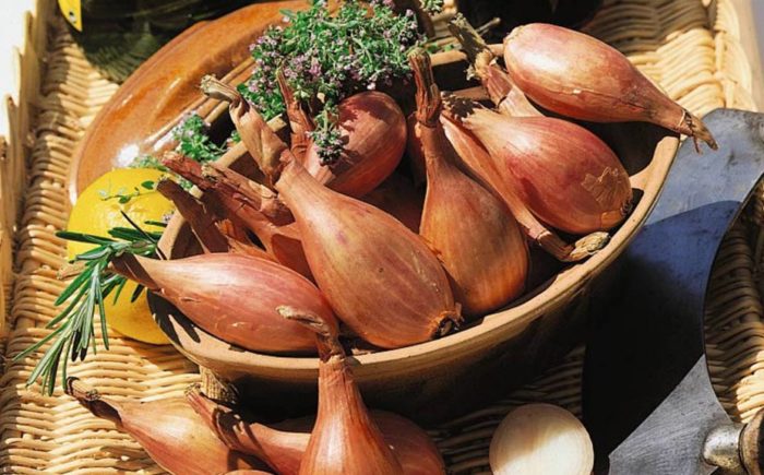 How to grow shallots - Suttons Gardening Grow How