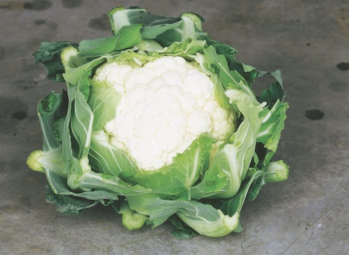 Best expert advice on growing cauliflowers - Suttons Gardening Grow How