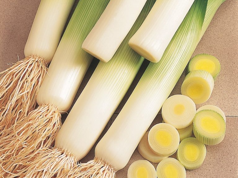 Best expert advice on growing leeks - Suttons Gardening Grow How