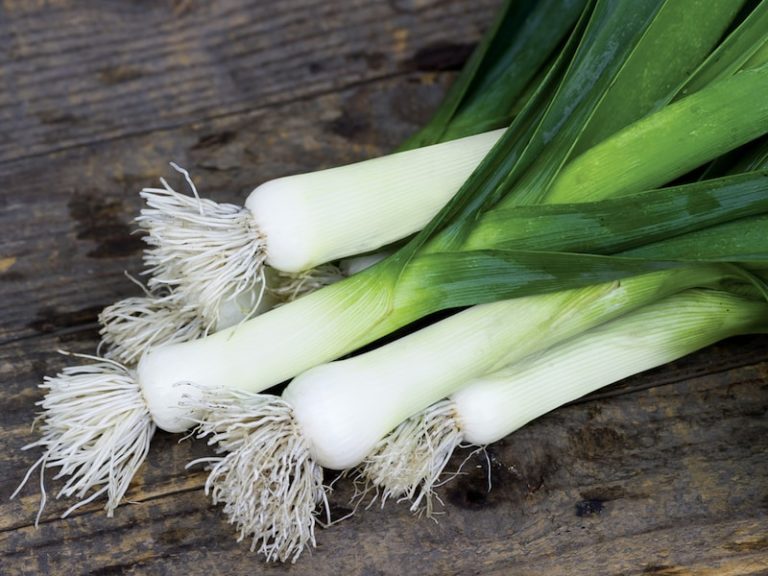 Best expert advice on growing leeks - Suttons Gardening Grow How