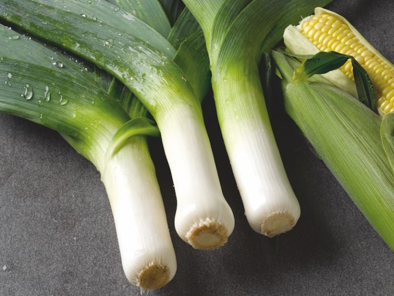 Best expert advice on growing leeks - Suttons Gardening Grow How