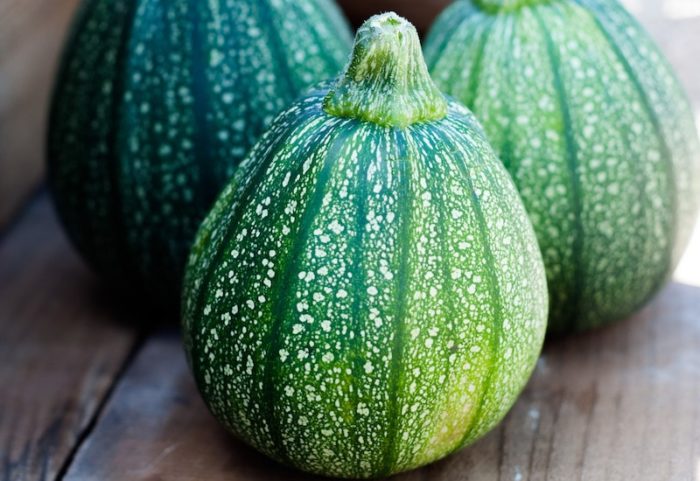 Success with your seeds - Suttons Gardening Grow How