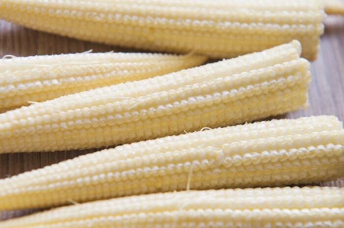 Best expert advice on growing sweet corn - Suttons Gardening Grow How
