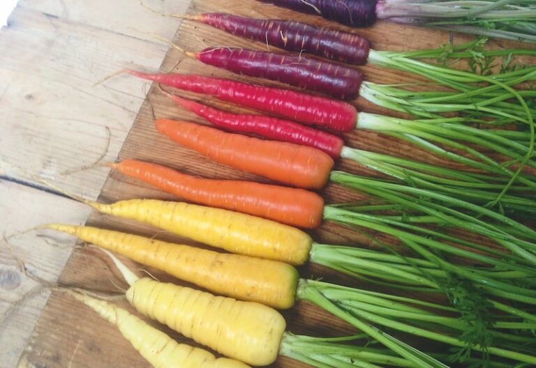 Best expert advice on growing carrots - Suttons Gardening Grow How