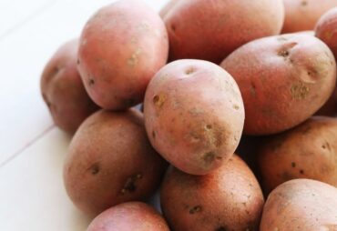 How and when to chit seed potatoes - Suttons Gardening Grow How