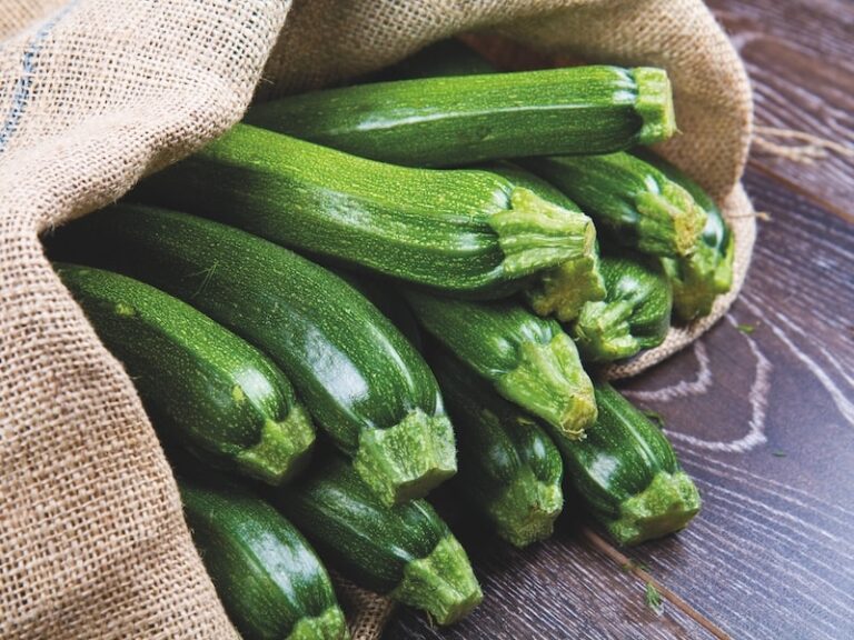 How to grow courgettes - Suttons Gardening Grow How