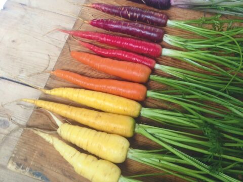 How to grow carrots - Suttons Gardening Grow How