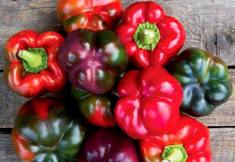 How to grow sweet peppers - Suttons Gardening Grow How