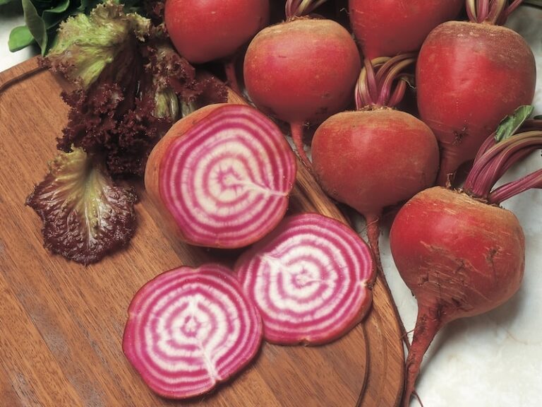 How to grow beetroot - Suttons Gardening Grow How