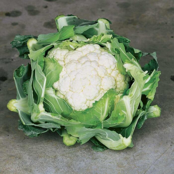 How to grow cauliflower - Suttons Gardening Grow How