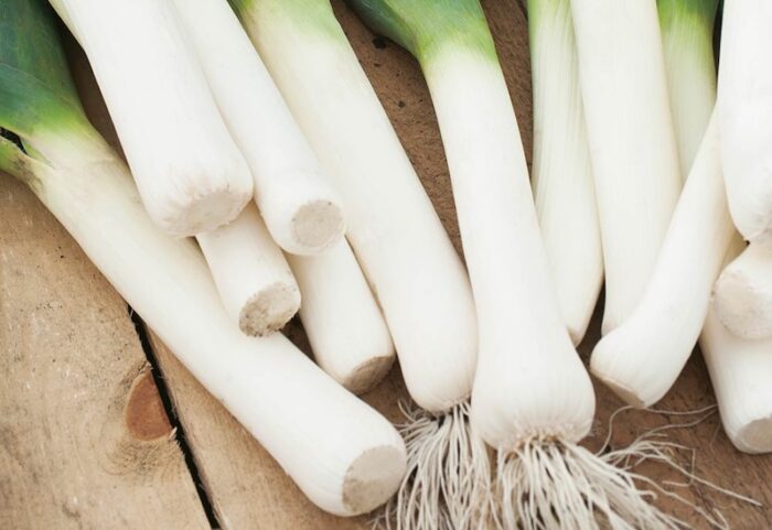 How to grow leeks - Suttons Gardening Grow How