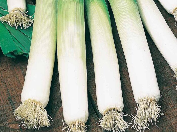 How to grow leeks - Suttons Gardening Grow How